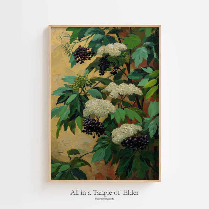 Elderflower Art - Etsy UK