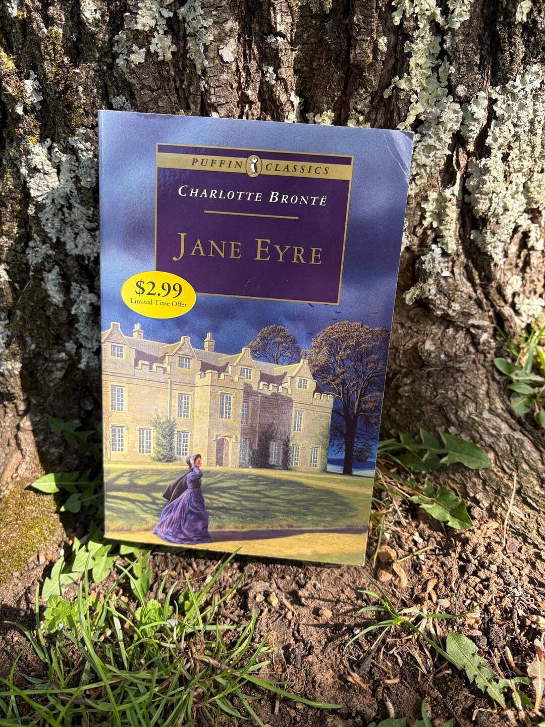 Vintage Jane Eyre by Charlotte Brontë - Etsy