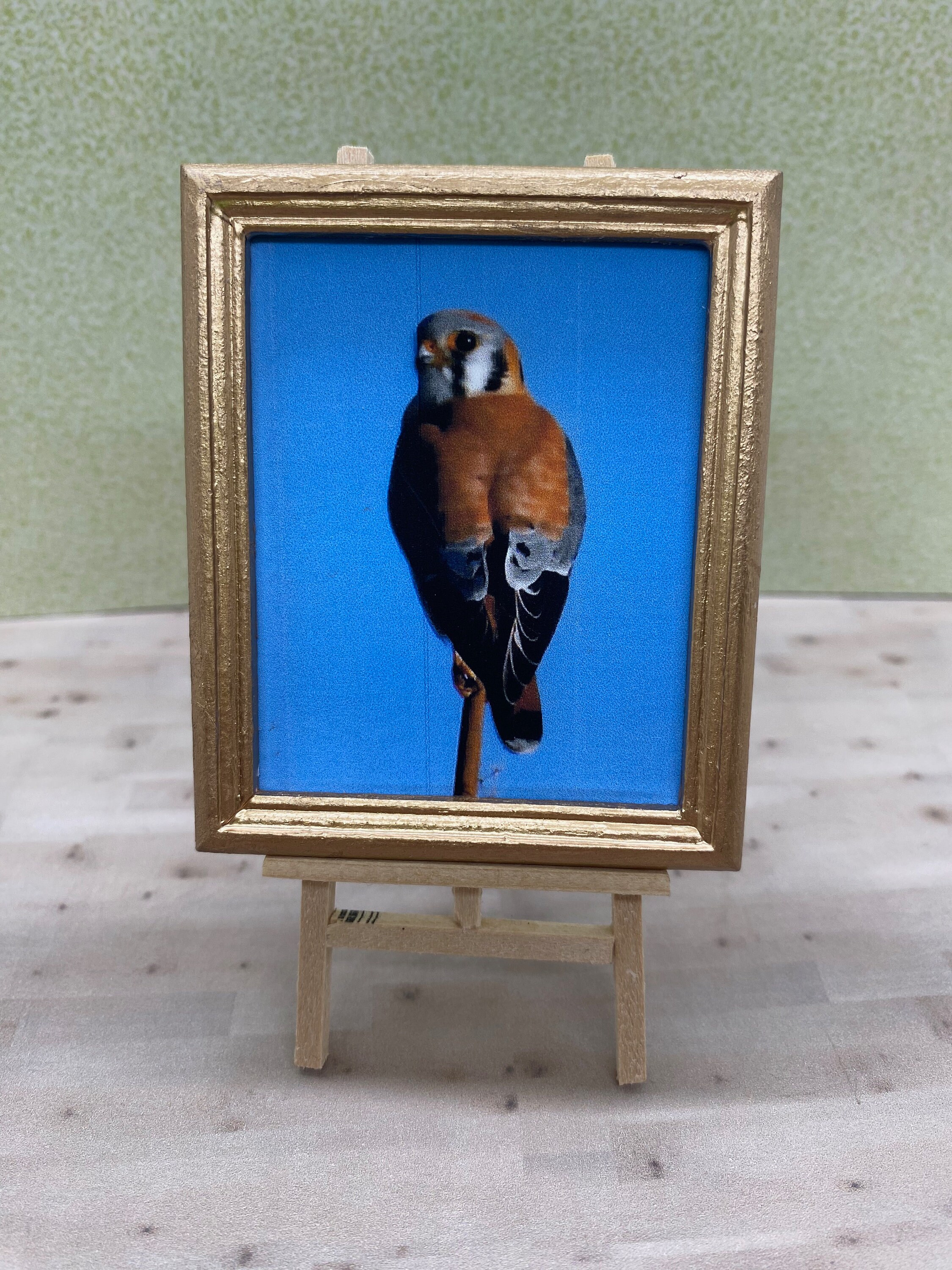 Miniature Photograph of Sparrow Hawk, Dollhouse Miniature Wildlife ...