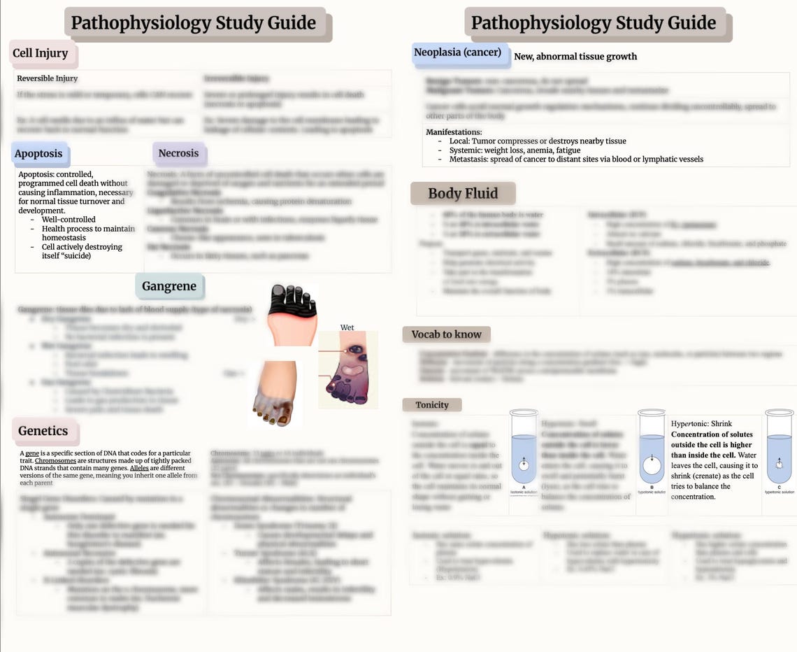 Pathophysiology Essentials: Pre-patho Study Guide - Etsy