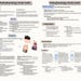 Pathophysiology Essentials: Pre-patho Study Guide - Etsy