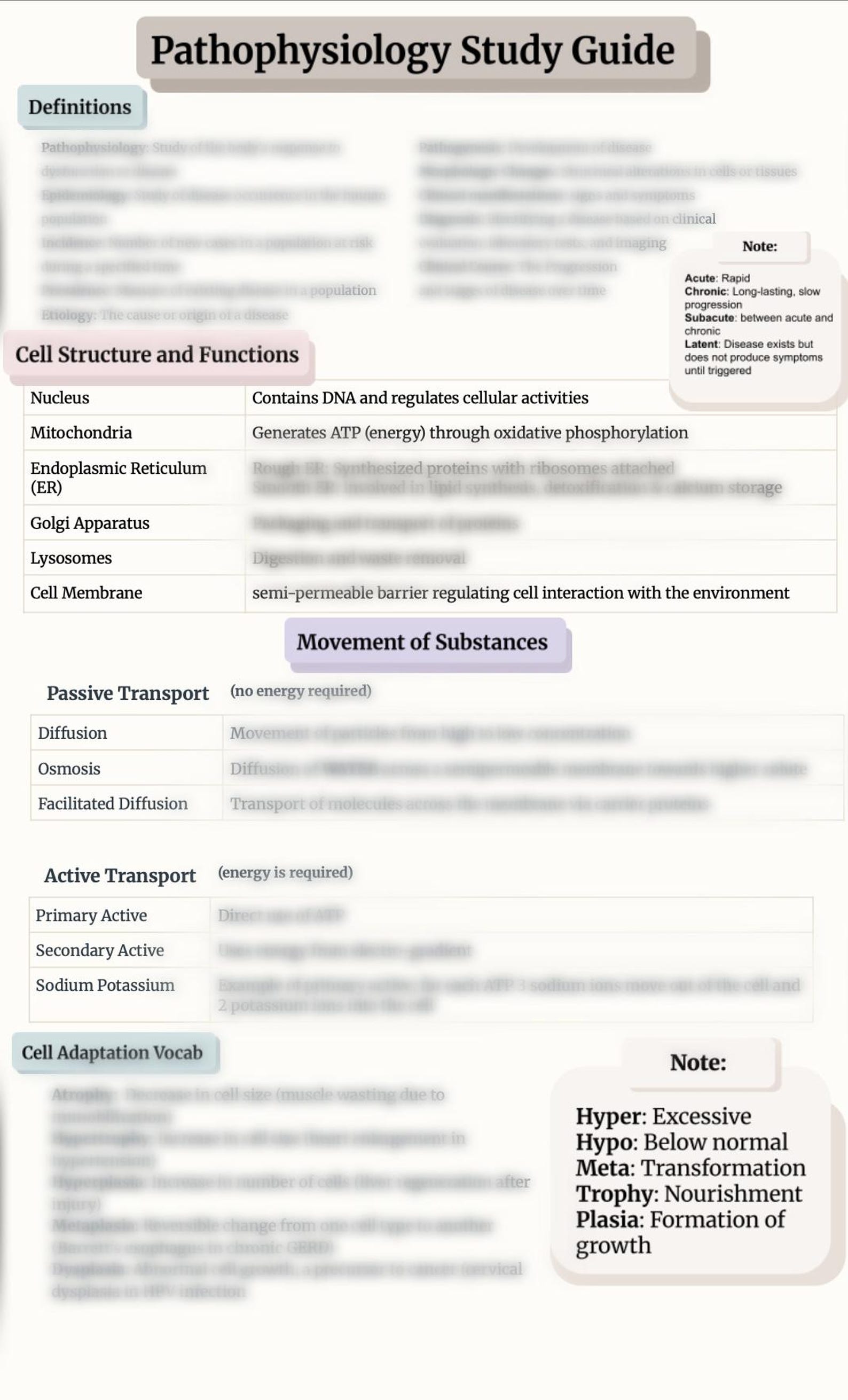 Pathophysiology Essentials: Pre-patho Study Guide - Etsy