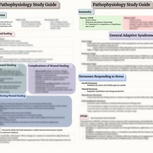 Pathophysiology Essentials: Pre-patho Study Guide - Etsy
