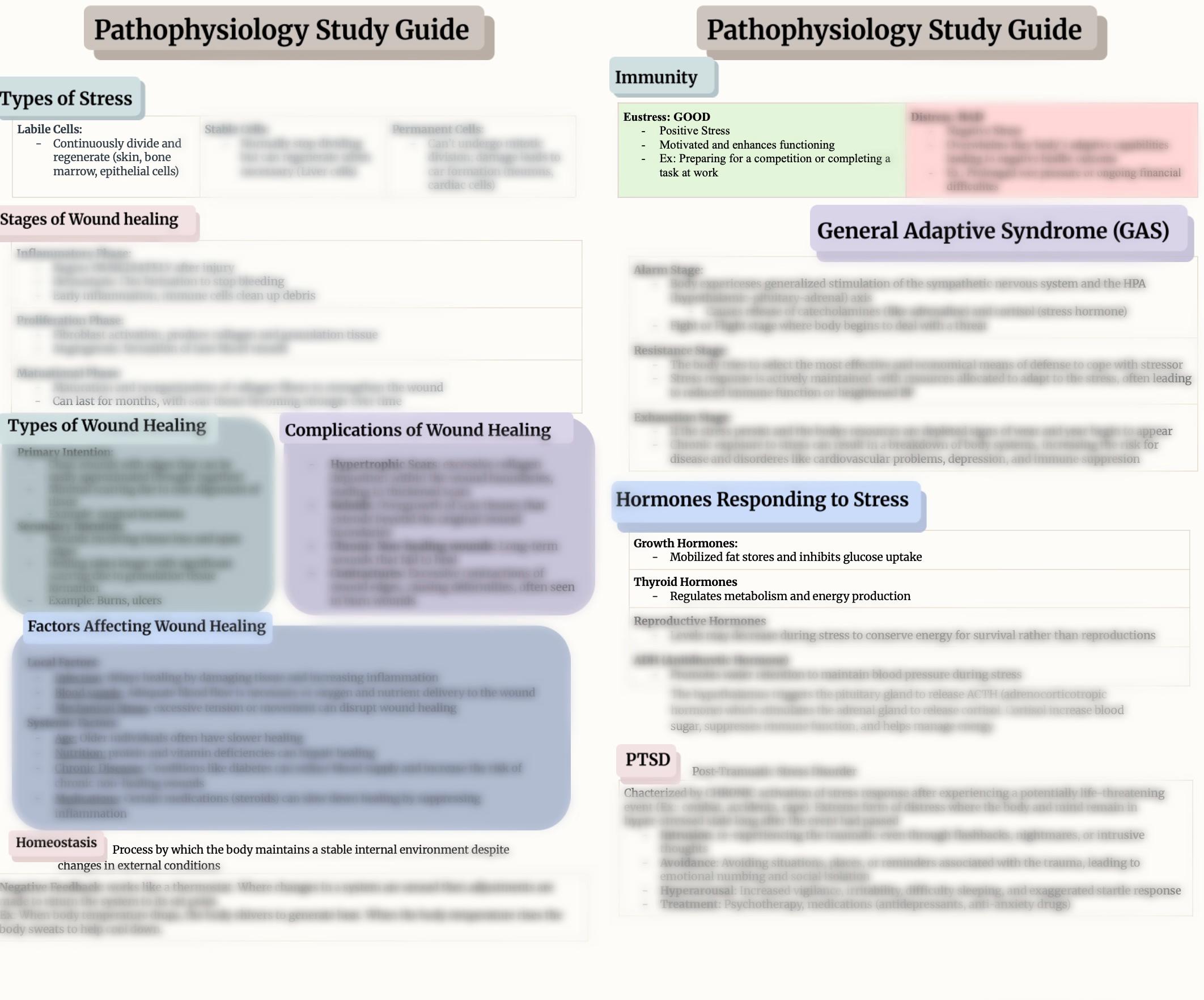 Pathophysiology Essentials: Pre-patho Study Guide - Etsy