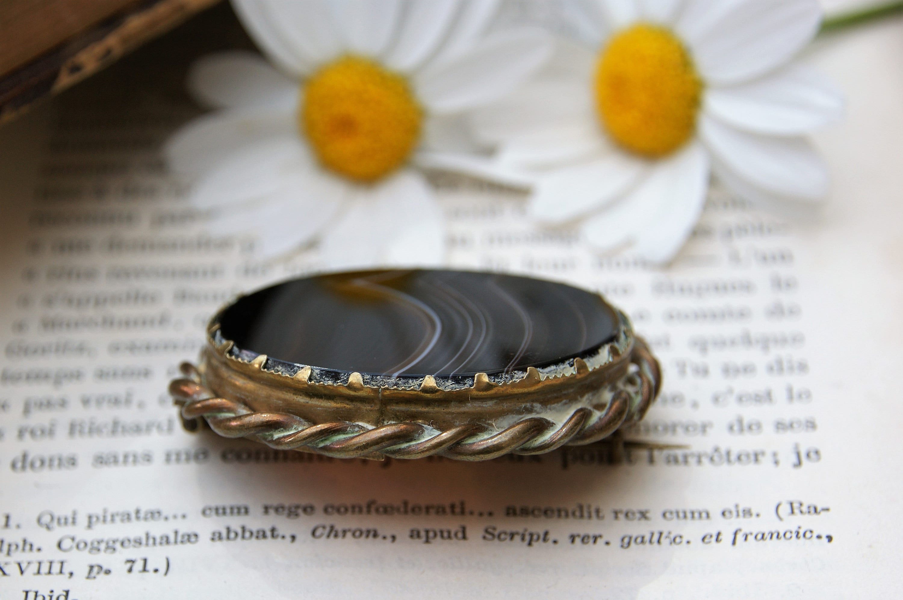 Antique Fabulous Victorian Ribbon Agate Brooch Pin | Etsy