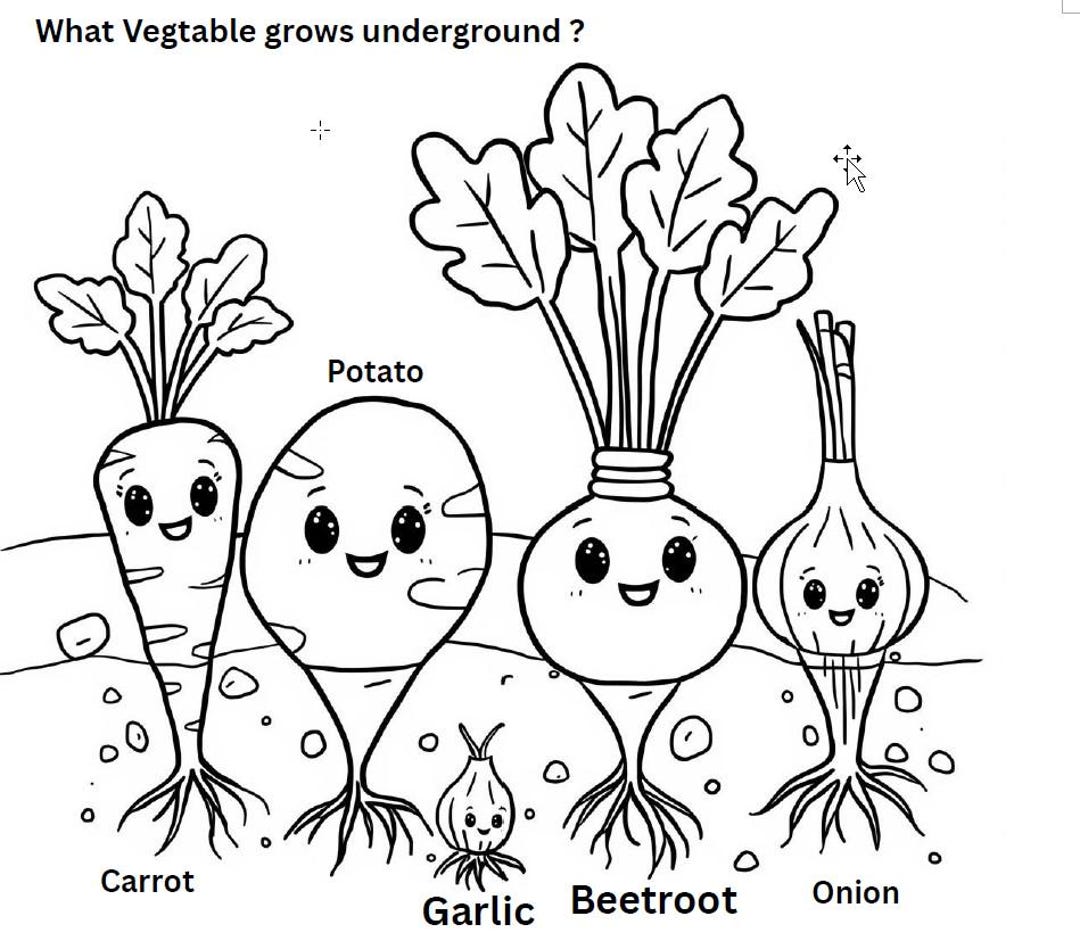 Vegetable Colouring Page, Kids Learning Sheet (digital Download) - Etsy