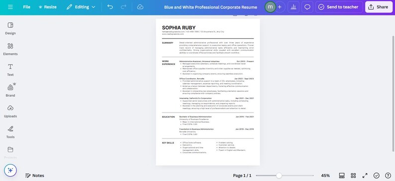 Professional Resume - Etsy