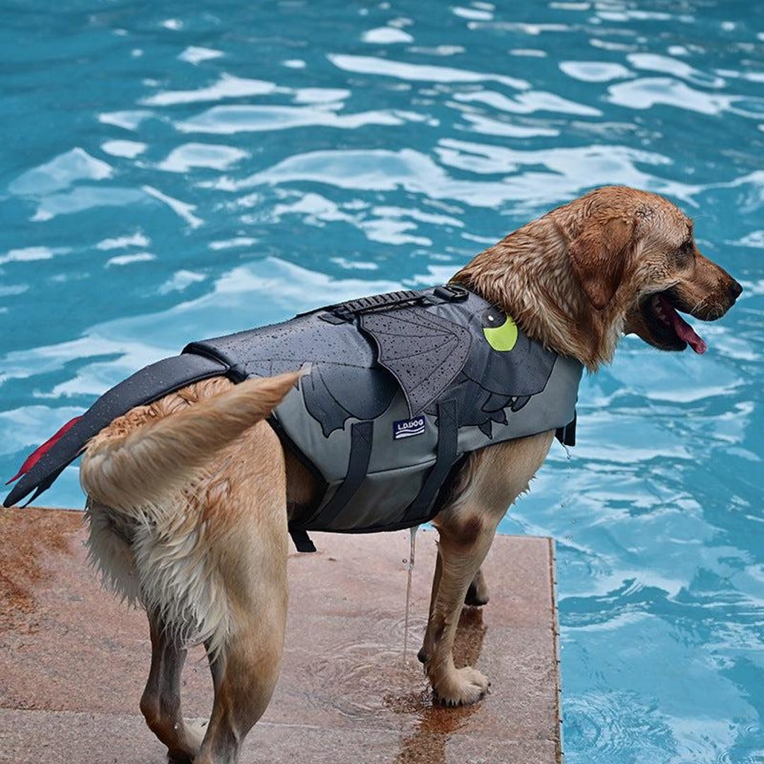 Flying Dragon Cosplay Dog Swimsuit - Etsy