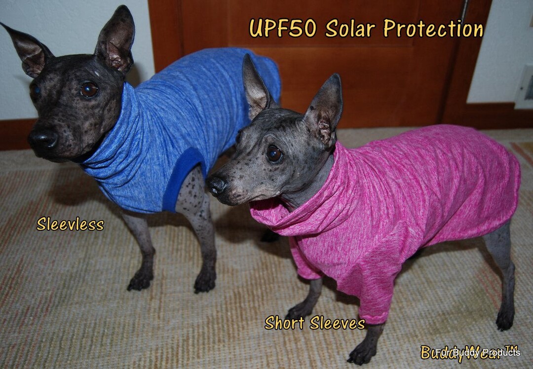 UPF50 Sun Protection Suit for American Hairless Terriers, Chinese ...