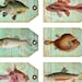 FISH Tags Instant Download Digital Printable Scientific Fish - Etsy