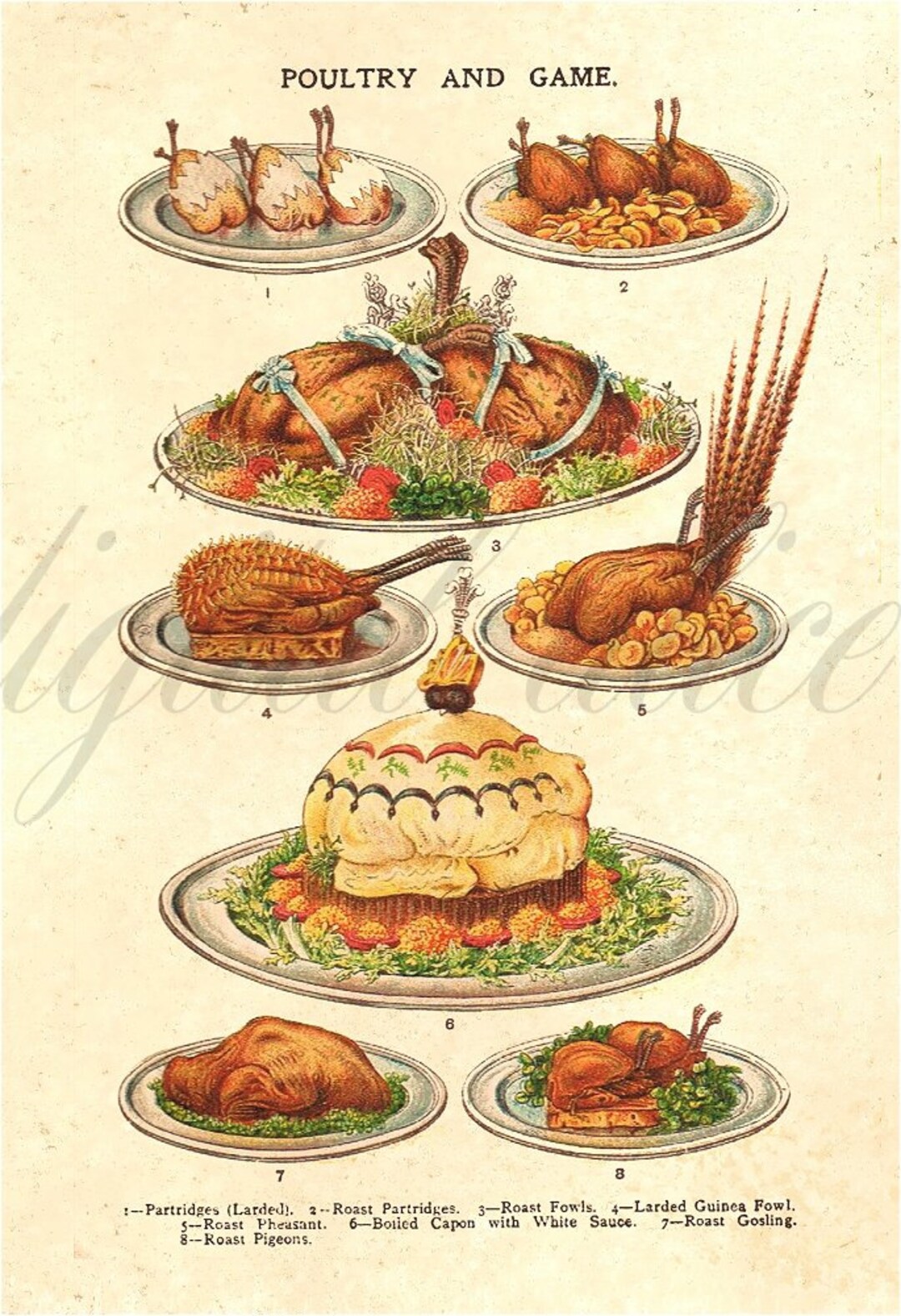 VINTAGE CULINARY PRINT Download - Antique Mrs. B's Festive Poultry and ...
