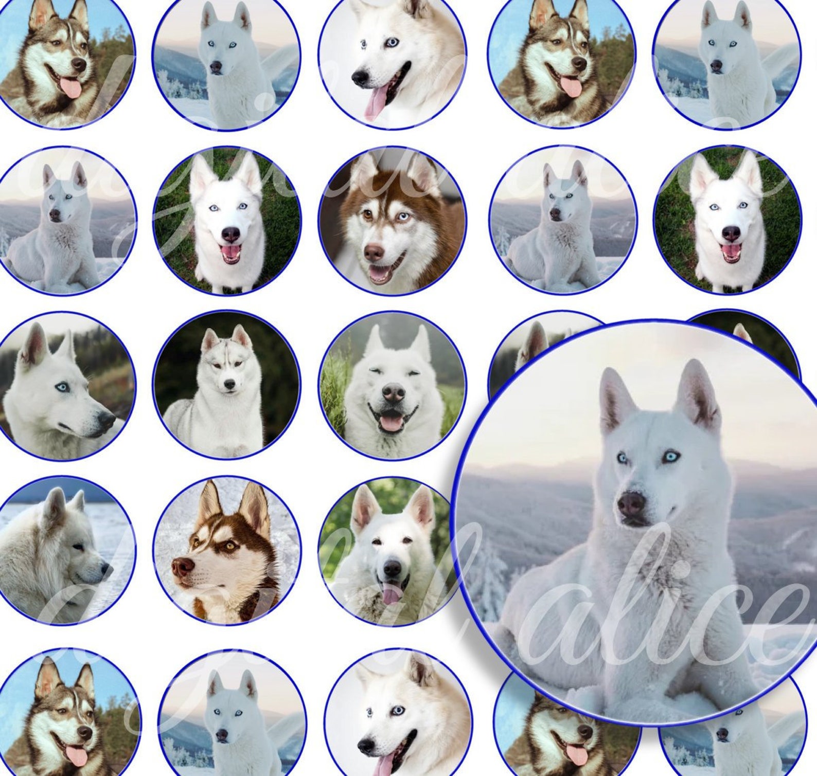 WHITE HUSKY DOG Craft Circles Huskies Wolf Sled Dog Puppy | Etsy