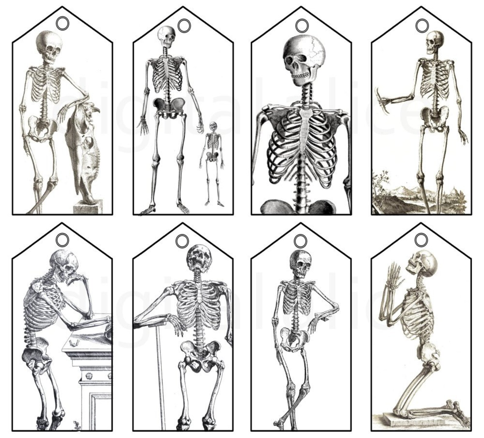VINTAGE SKELETON Hang Tags - Instant Download Digital Printable Creepy ...