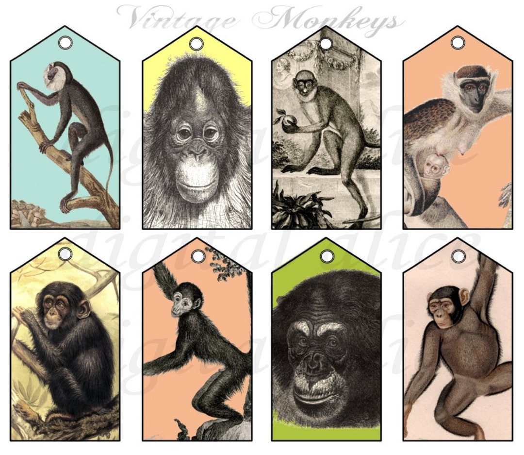 CUTE MONKEYS and CHIMPS Vintage Hang Tags - Instant Download Digital ...