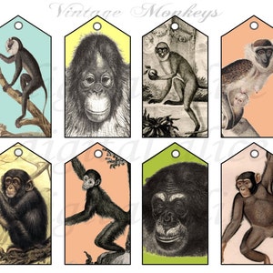 CUTE MONKEYS and CHIMPS Vintage Hang Tags - Instant Download Digital ...