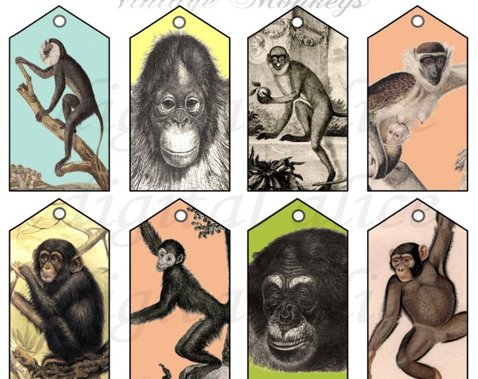 CUTE MONKEYS and CHIMPS Vintage Hang Tags Instant Download Digital ...
