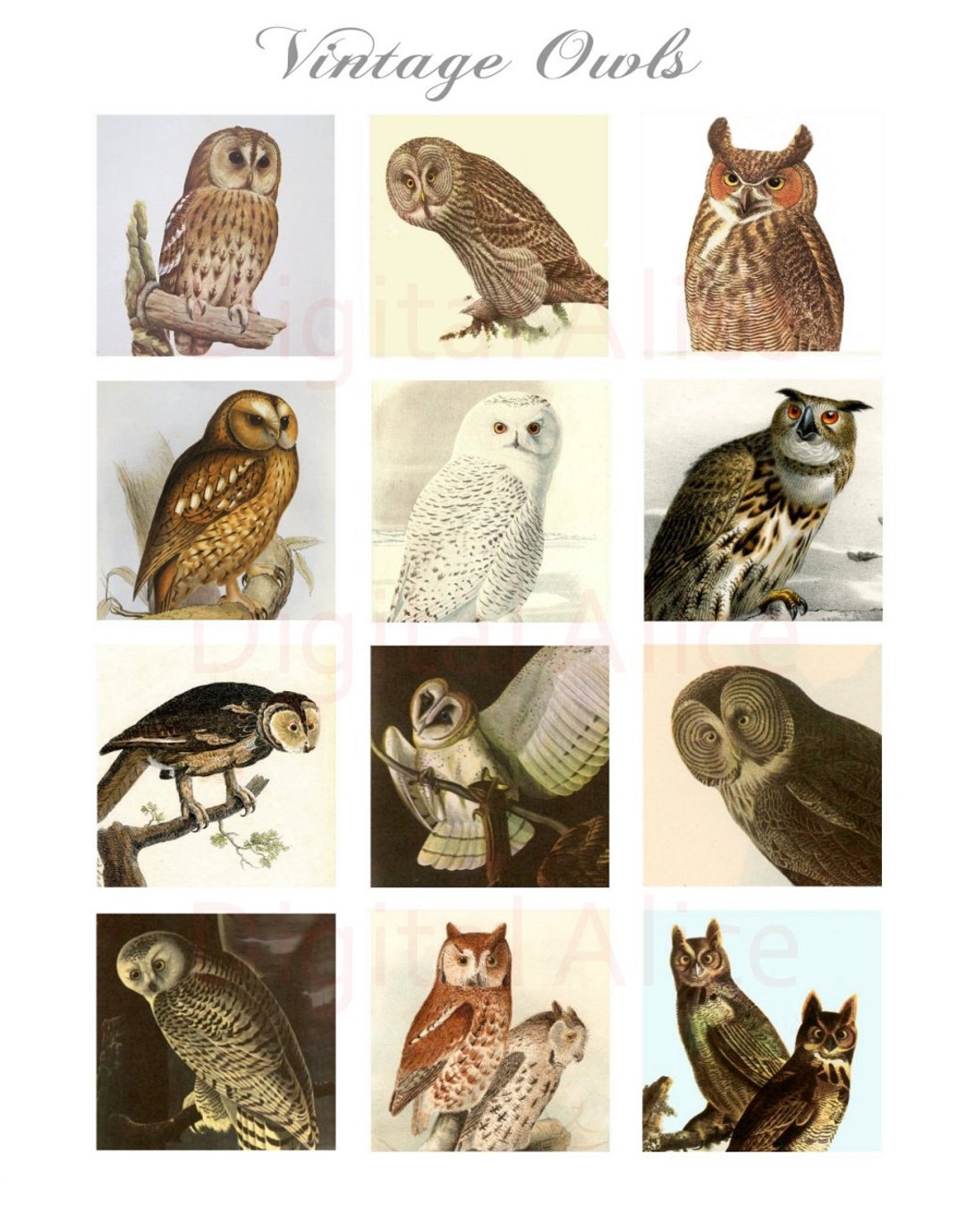 OWLS - Printable OWL SQUARES - Lots of Owls - 1 and 2 Inch Squares ...