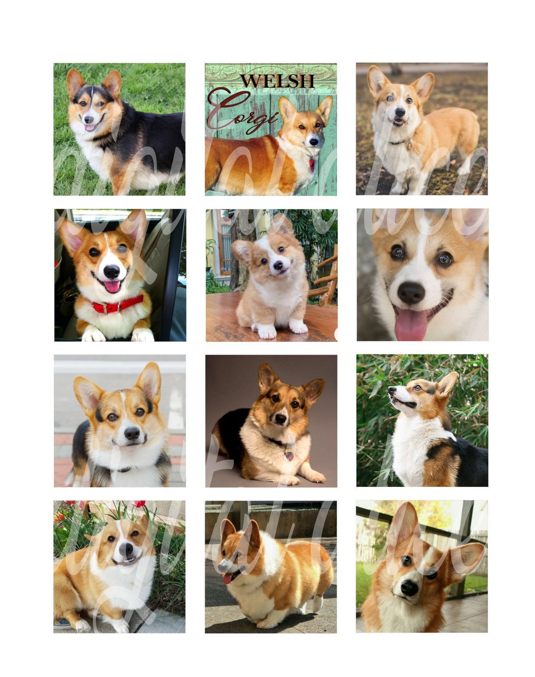 CORGI DOG Craft Squares - Welsh Corgi Dog Puppy Instant Download ...