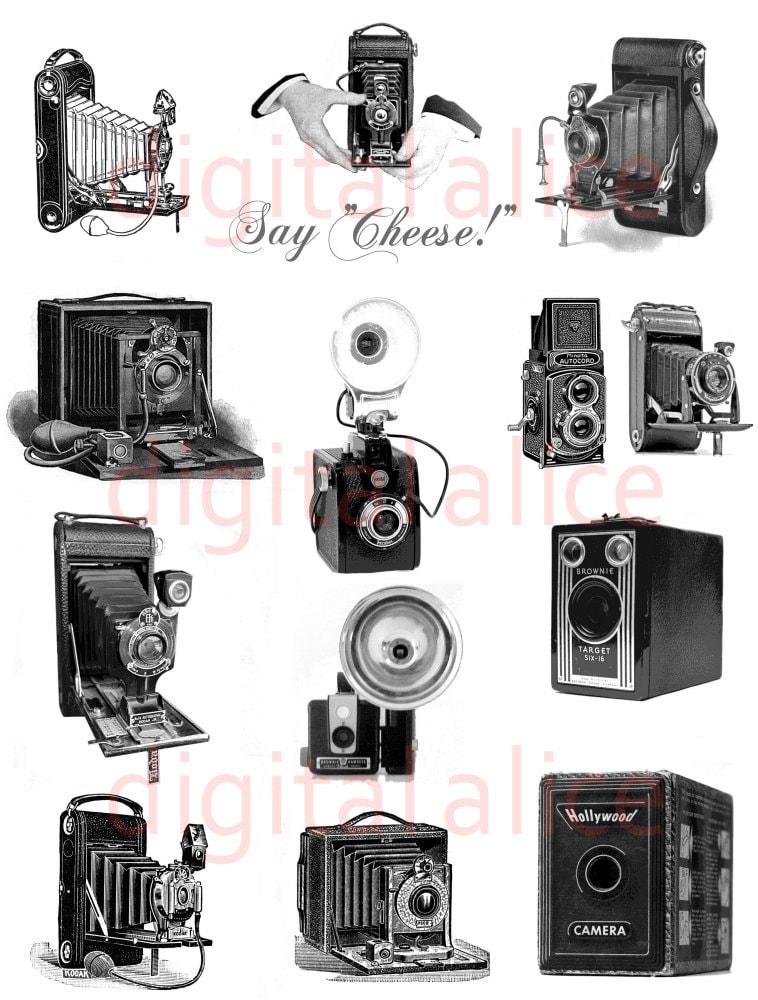 ANTIQUE BUTTERFLIES CHART Digital Download Collage Sheet | Etsy