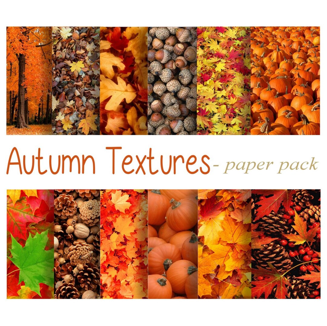 AUTUMN TEXTURES Paper Pack- 12 Digital Papers - Fall Pumpkins,colored ...