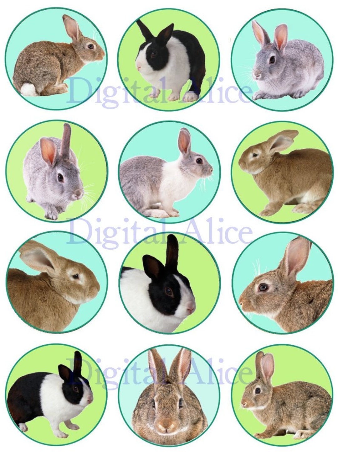 Bunny Rabbit Craft Circles – Printable Collage Sheet (digital Download ...