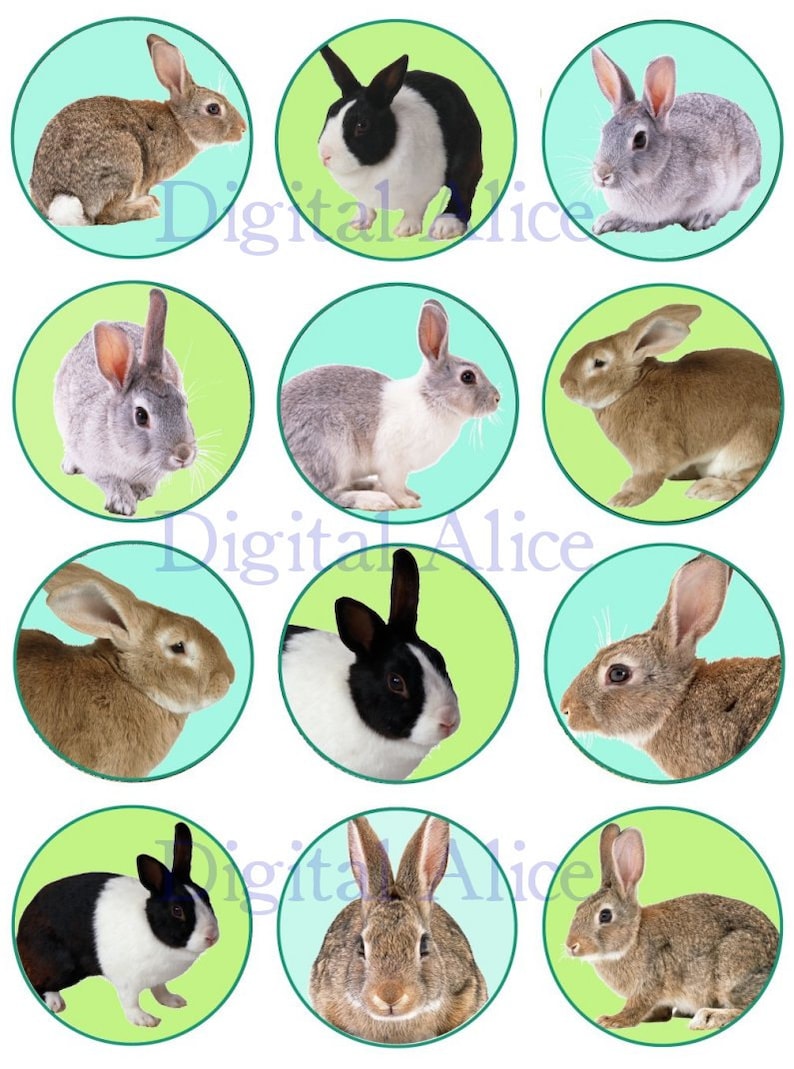 RED FOX Craft Circles Furry FOXES Instant Download Digital - Etsy