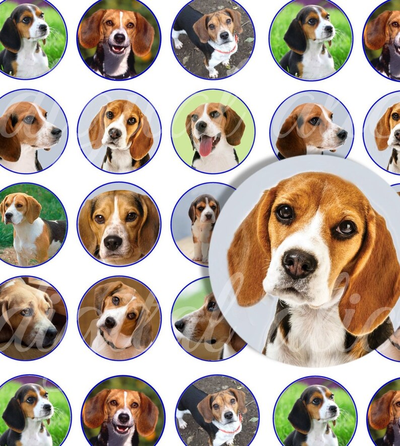 BEAGLE DOG Craft Circles Beagle Hound Puppy Instant Download - Etsy