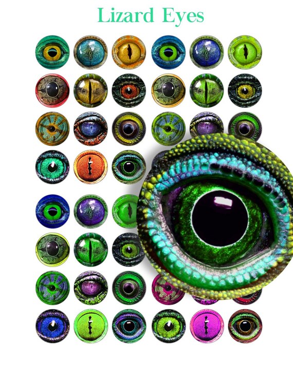 LIZARD EYES Printable Craft Circles Amphibian Animal Eye - Etsy UK