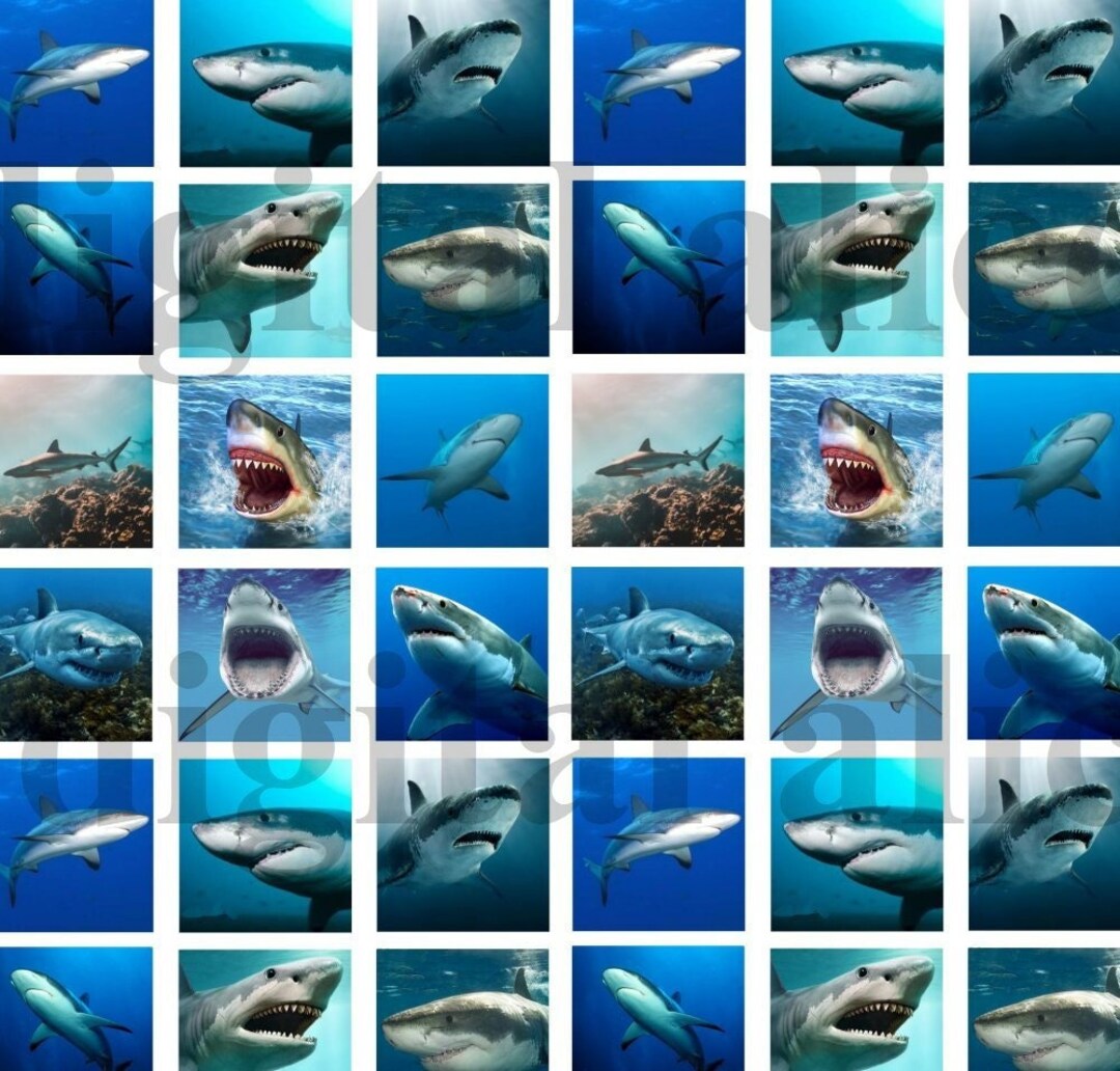 Mighty SHARKS -12 Squares- Shark - Instant Download Printable - 1, 1.5 ...