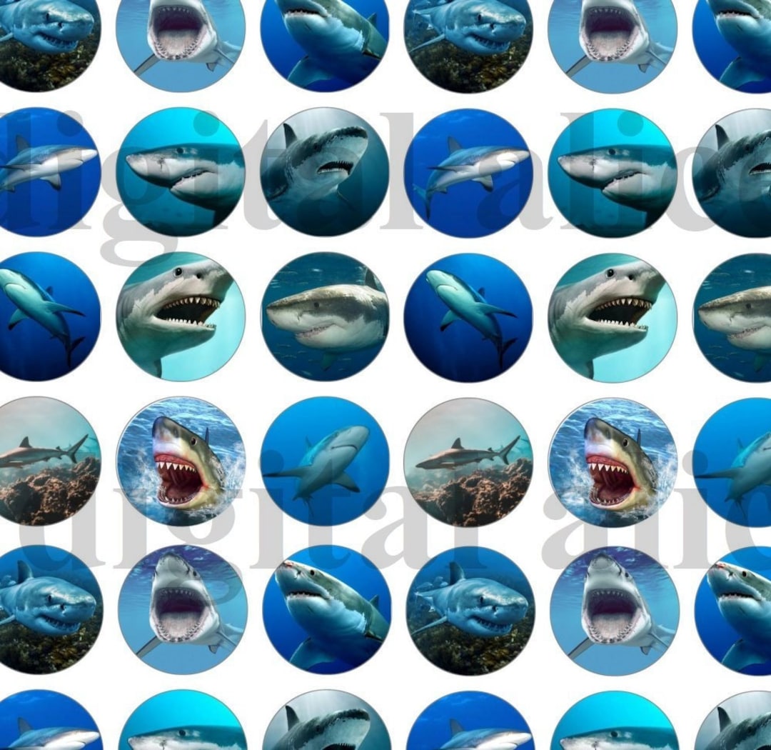 Mighty SHARKS -12 Circles- Shark - Instant Download Printable - 1, 1.5 ...