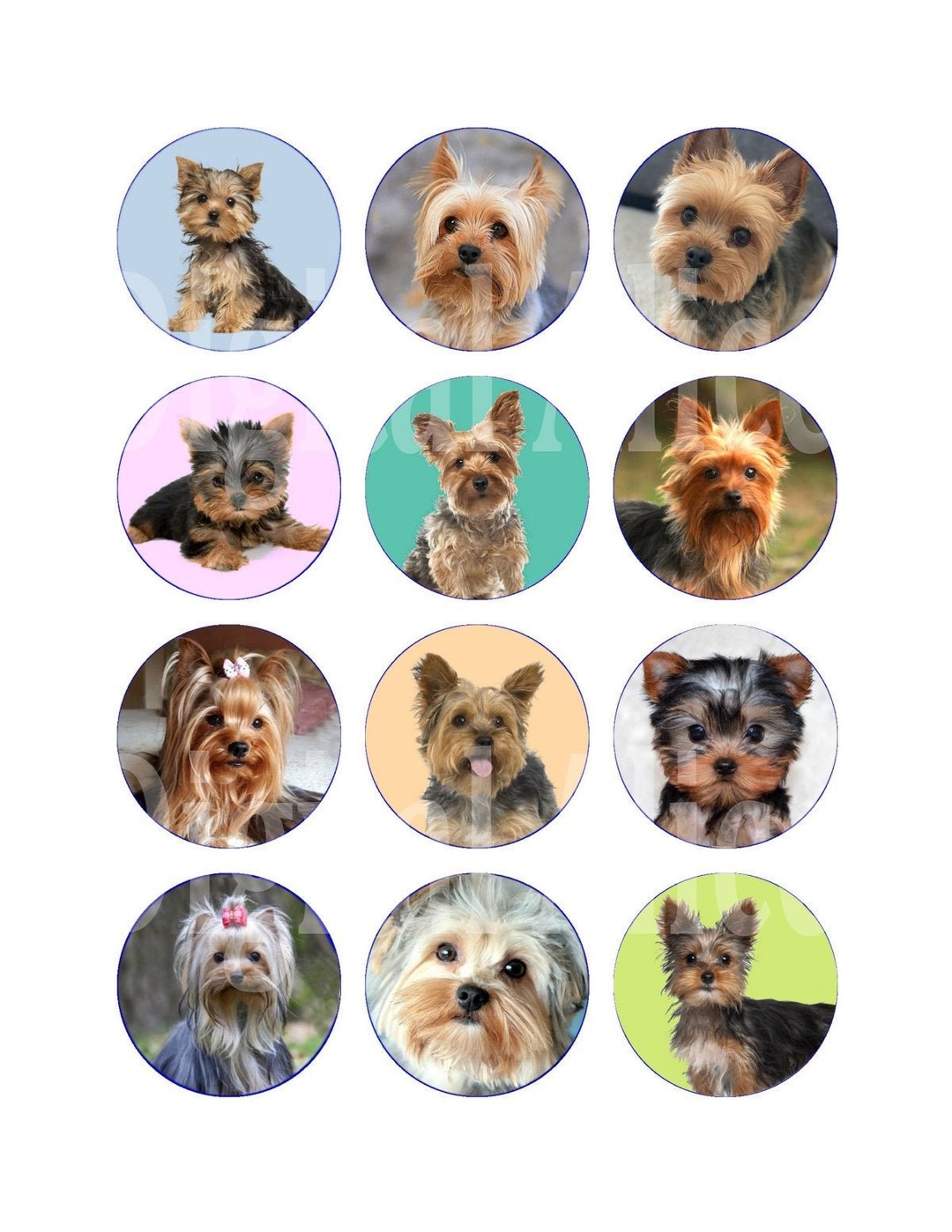 YORKSHIRE TERRIER Craft Circles - YORKIE Yorky Dog Puppy Instant ...