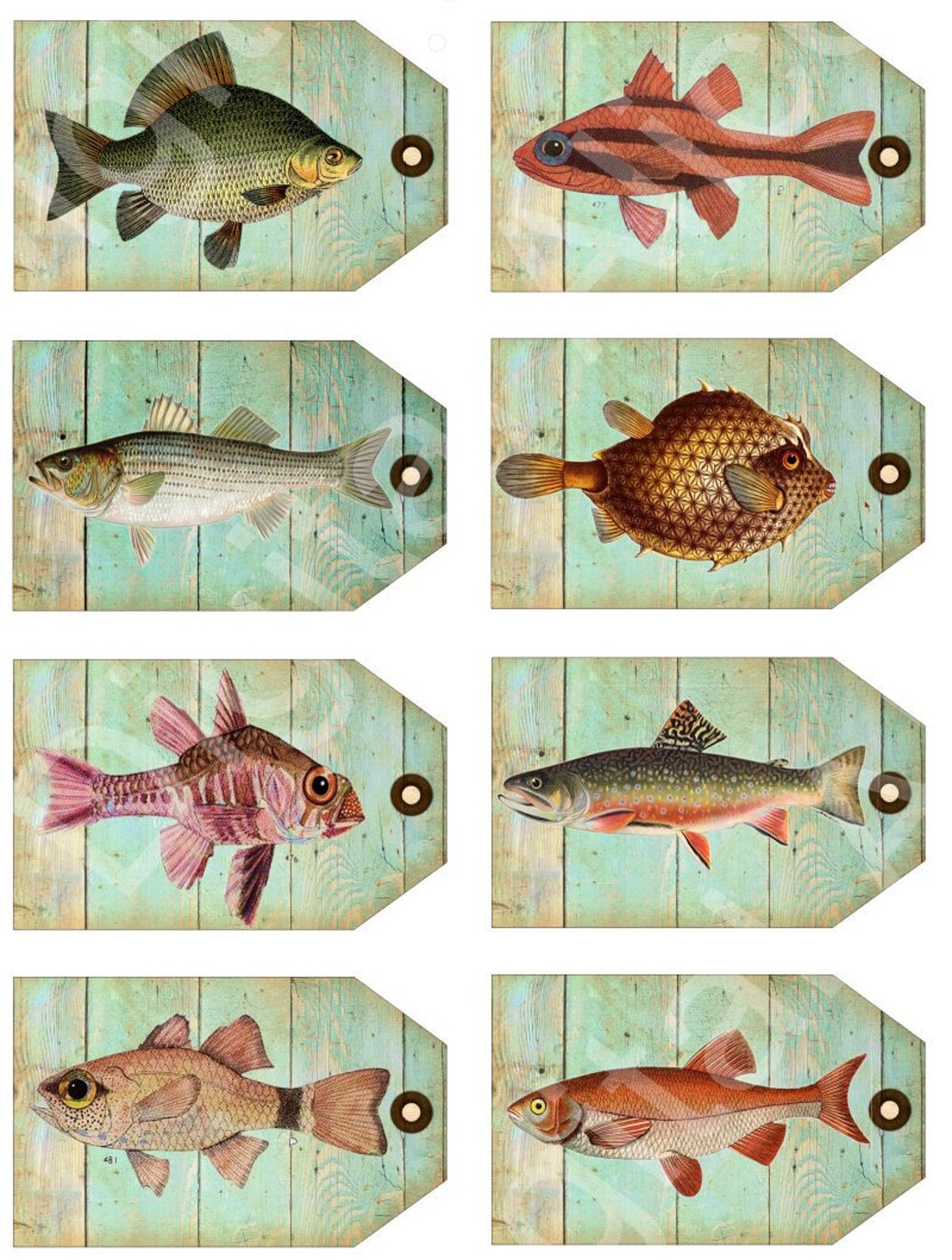 FISH Tags Instant Download Digital Printable Scientific Fish | Etsy