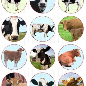 CUTE COWS Craft Squares- 4 in Coasters - Farm Cows Instant Download ...