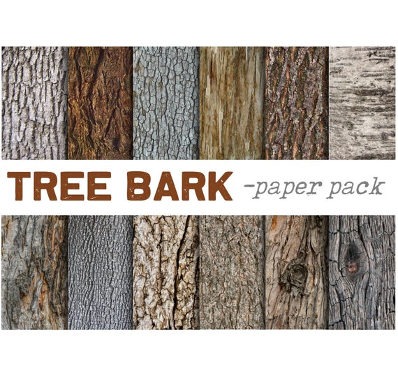 Birch Bark Paper