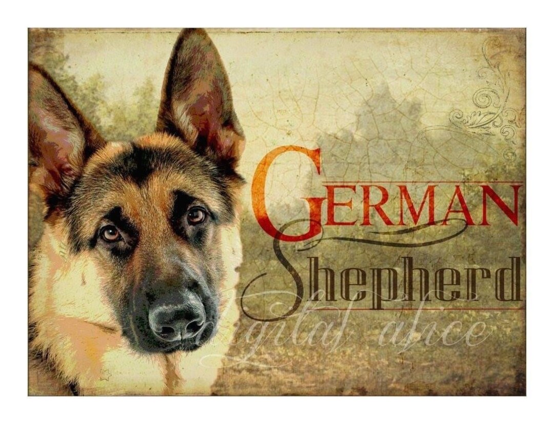 GERMAN SHEPHERD Art Print Poster Vintage Look Dog Painting Picture ...