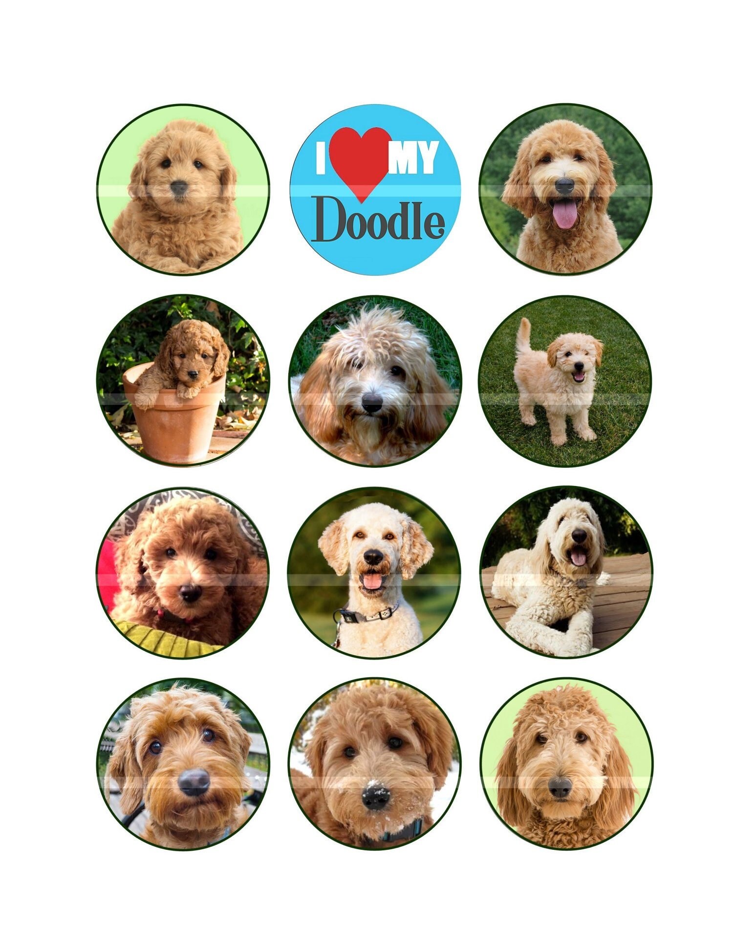DOODLE DOG Printable Craft Circles Cute Golden Doodle | Etsy