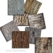 TREE BARK PAPER - Digital Paper Pack - Rustic Tree Bark Texture Papers ...