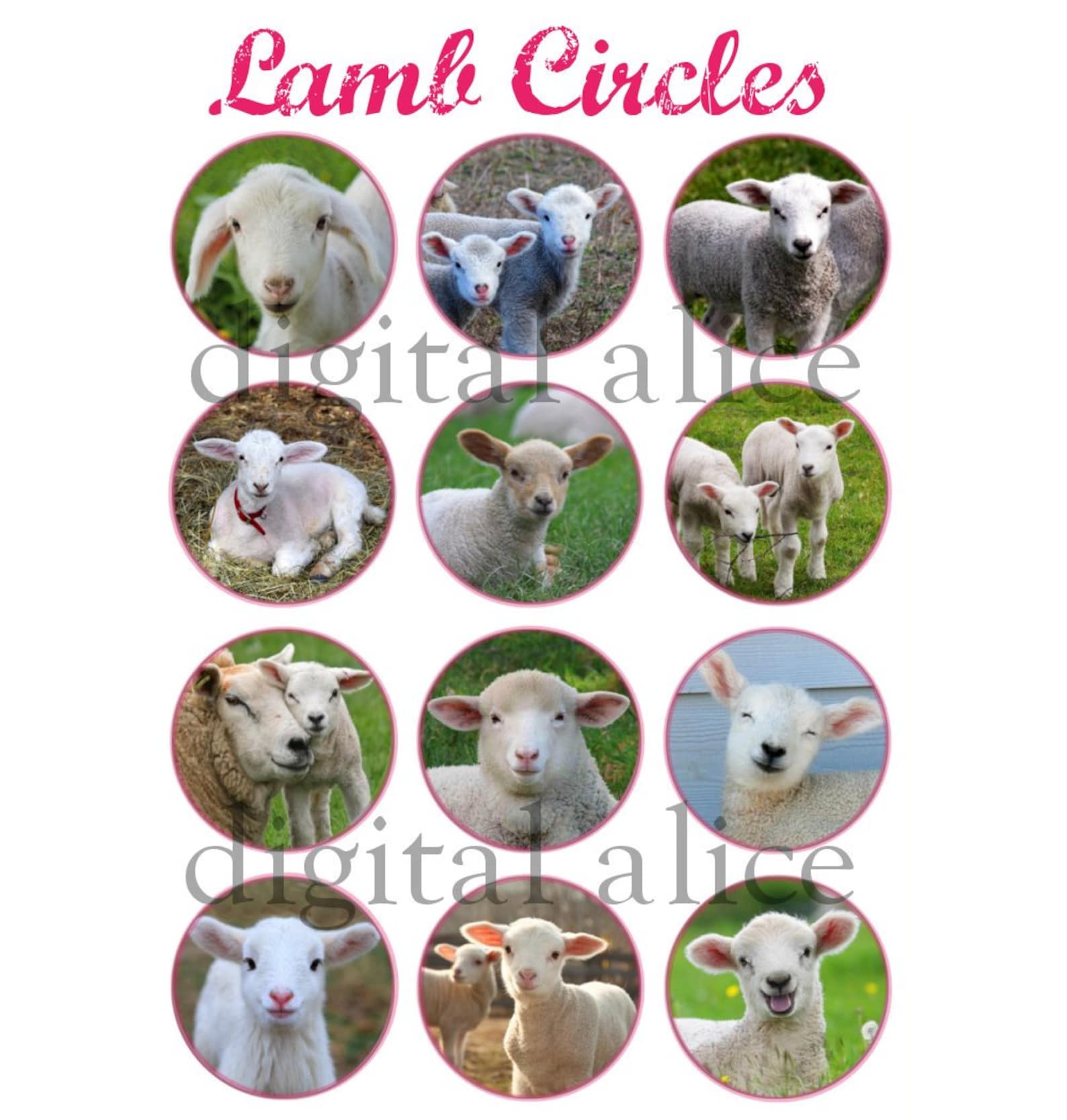LAMB BABY Sheep Craft Circles Farm Easter Lambs Instant - Etsy