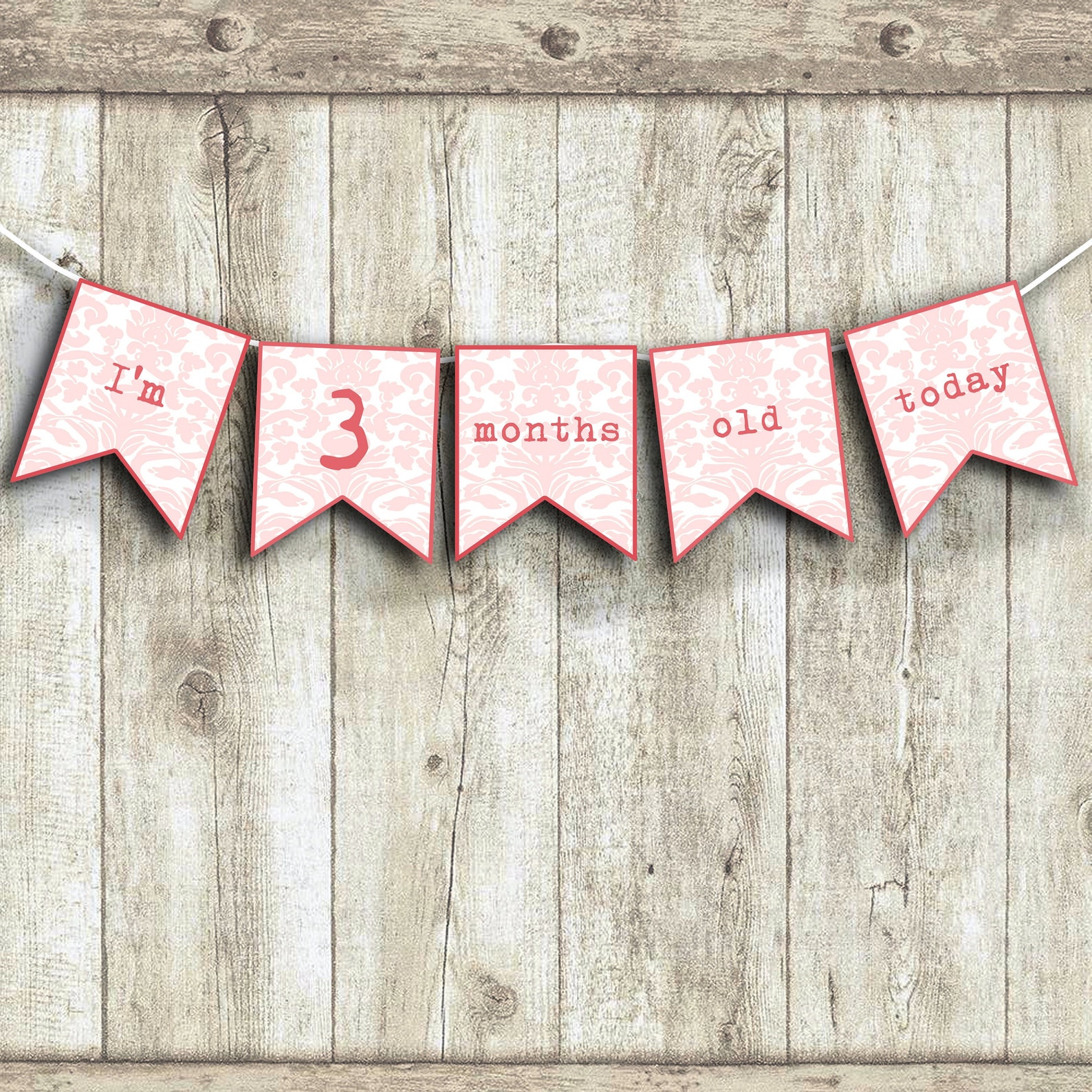 You Print BABY BIRTHDAY BANNER Printable Banner 1-11 Months | Etsy