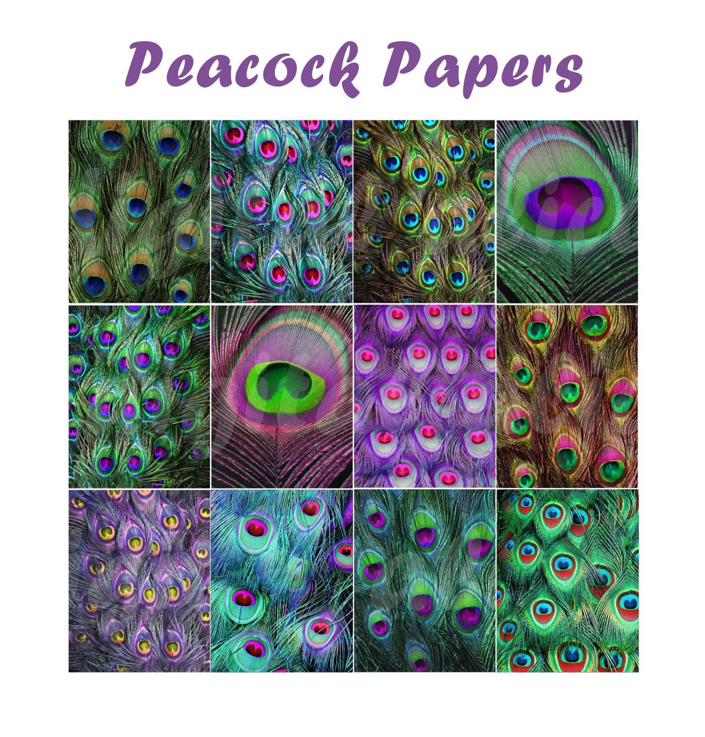 PEACOCK FEATHERS Paper Pack Digital Papers 12 Colorful - Etsy