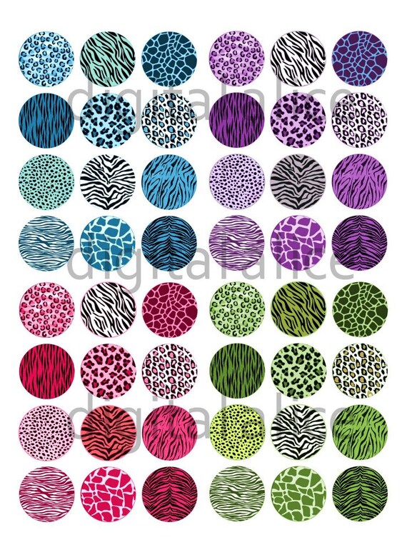Colorful Animal Print Patterns
