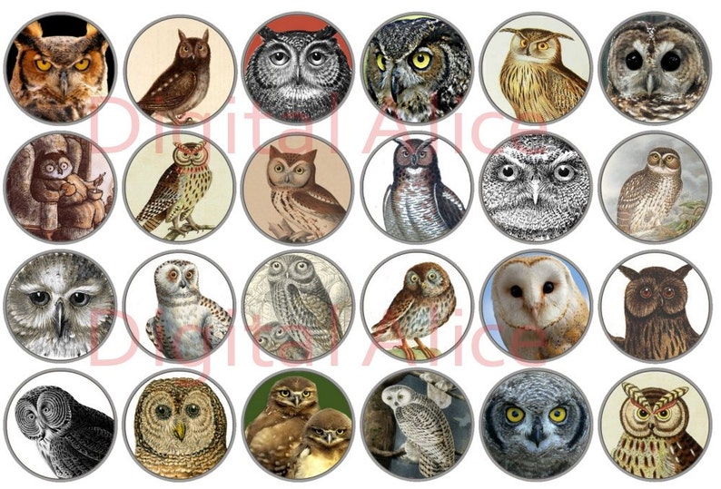 OWLS - Printable OWL SQUARES - Lots of Owls - 1 and 2 Inch Squares ...