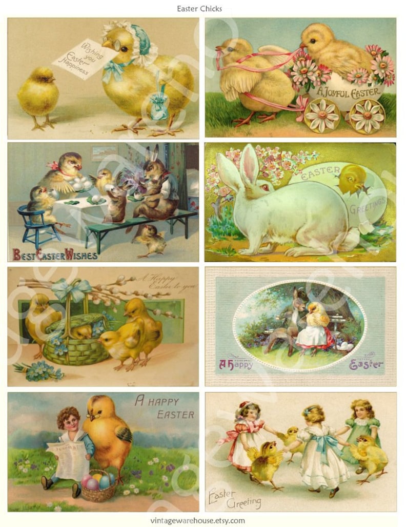 ANTIQUE EASTER POSTCARDS No 2 Cute Chicks and Eggs Instant - Etsy