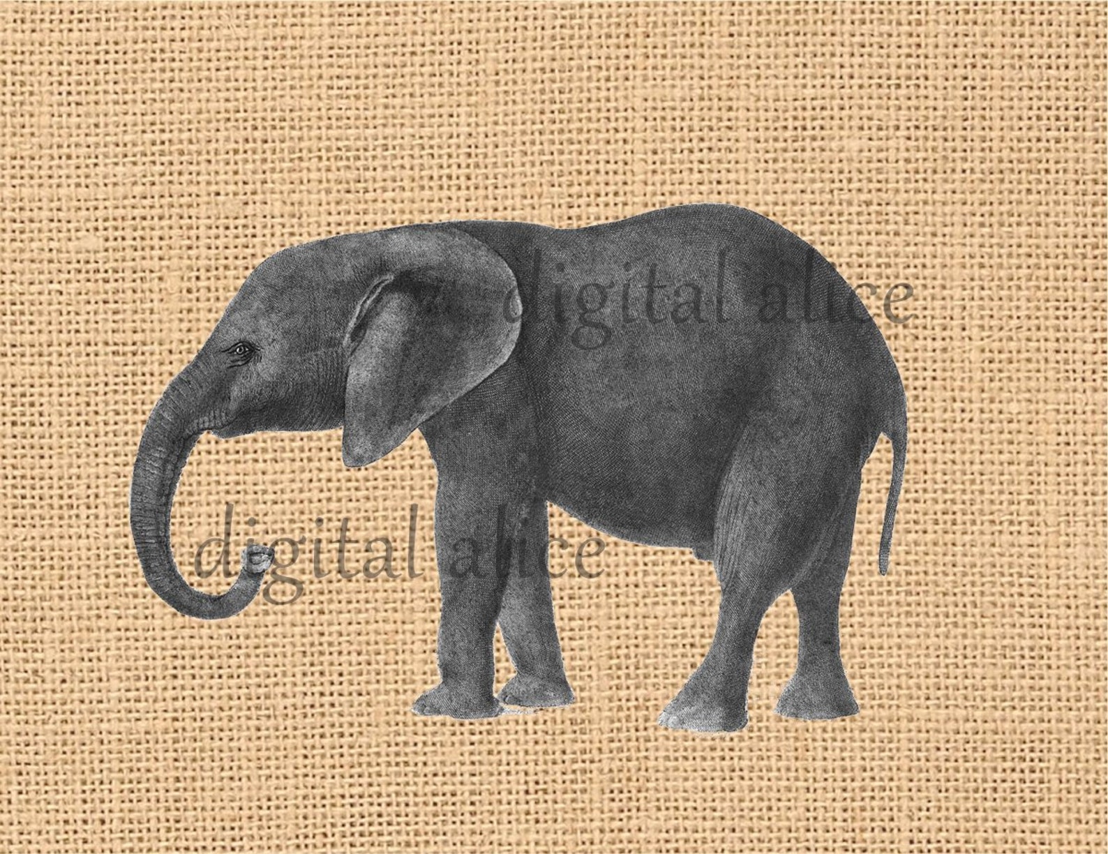 Digital ANTIQUE ELEPHANT PRINT instant Download Digital | Etsy