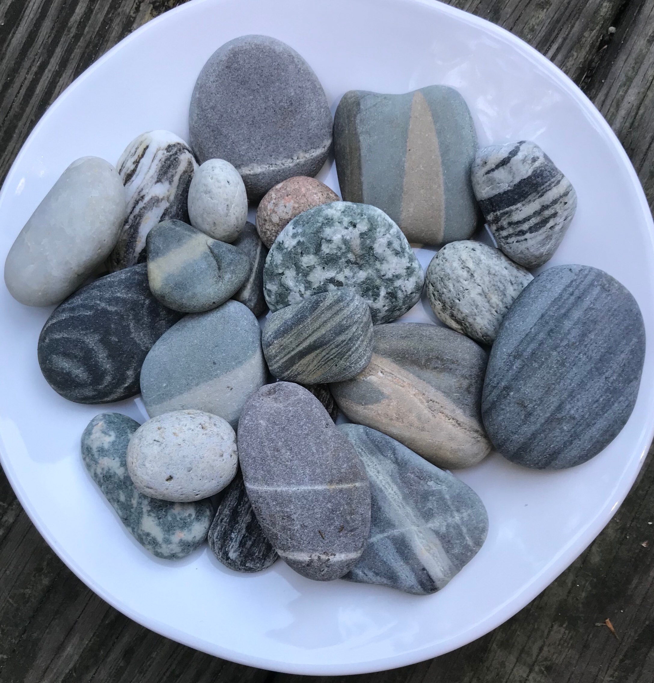Buttons Sewing & Fiber Beach Stone Pebble Buttons Set of 3 from the ...