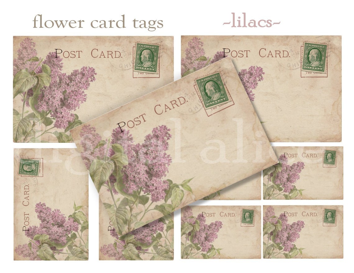 VINTAGE LILAC POSTCARDS - Digital Download - Stamped Antique Botanical ...