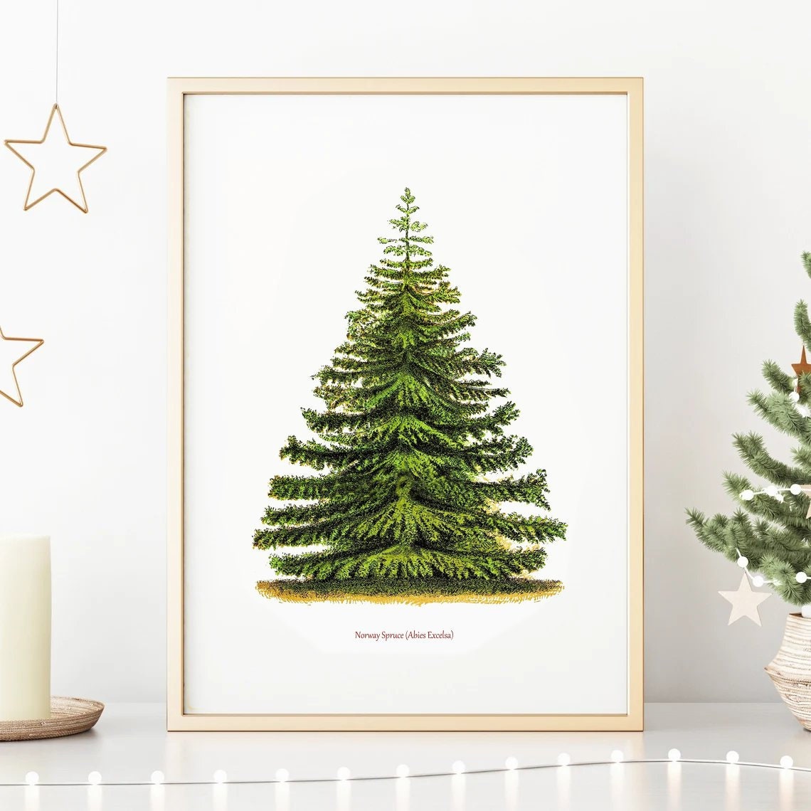 VINTAGE CHRISTMAS TREE Botanical Prints Printable Digital - Etsy