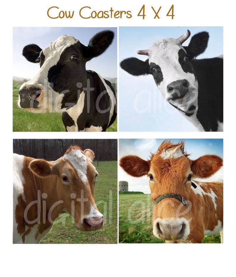 CUTE COWS Craft Squares- 4 in Coasters - Farm Cows Instant Download ...