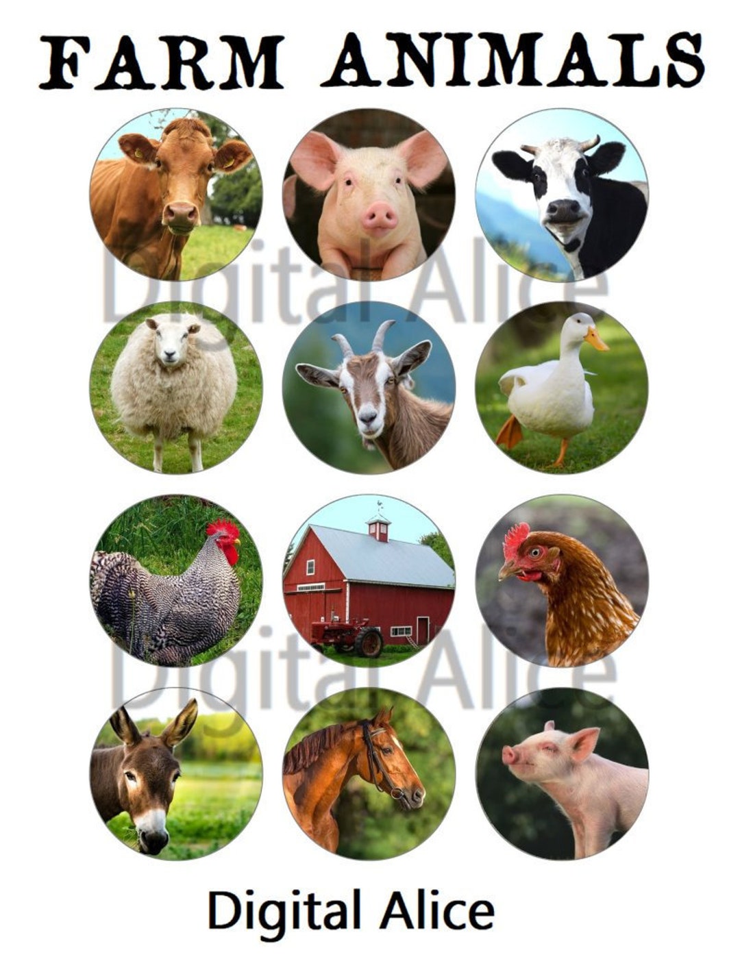 CUTE FARM ANIMALS -12 Circles -cow,pig,sheep,goat,chicken,horse ,donkey ...