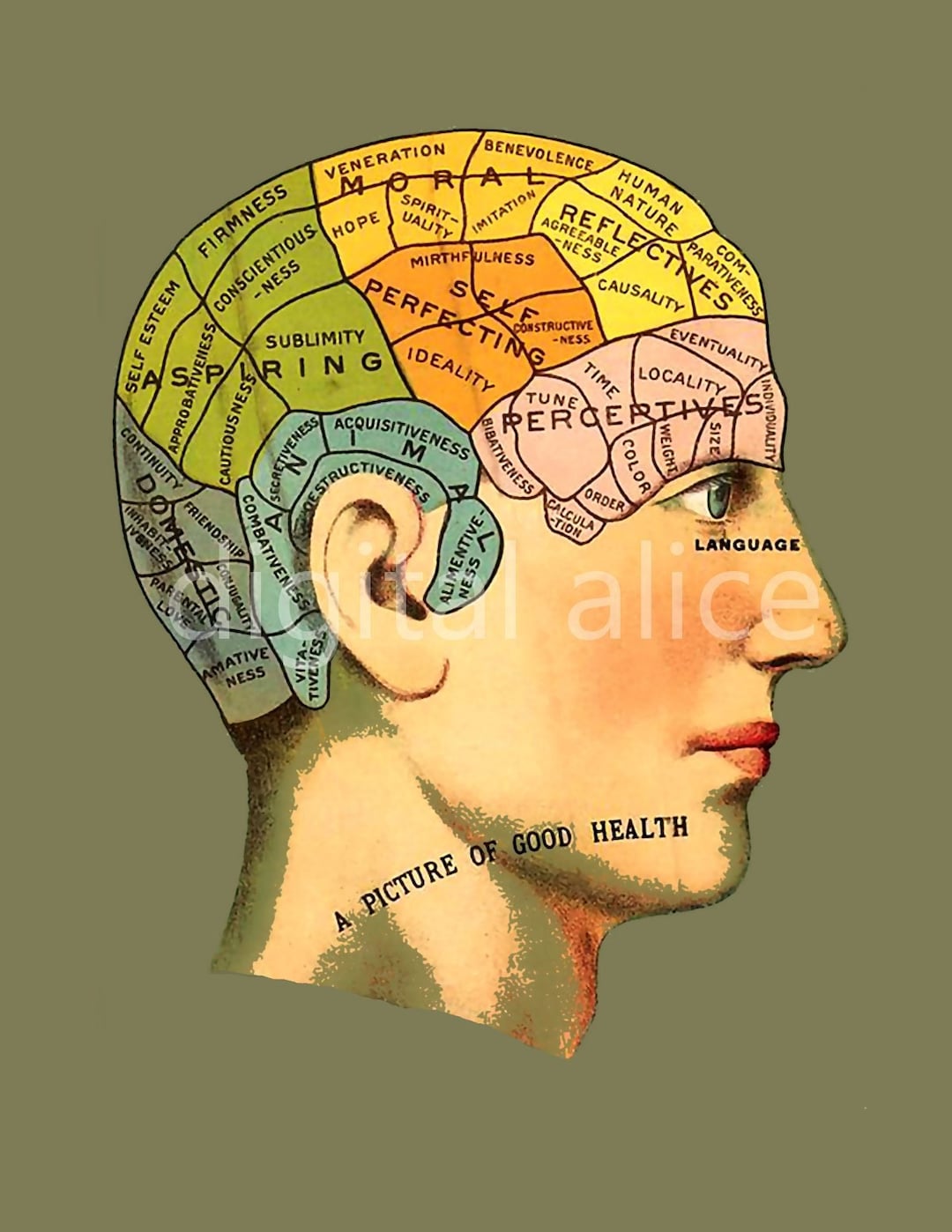 ANTIQUE BRAIN PRINT - Phrenology Head Chart - Digital Download ...